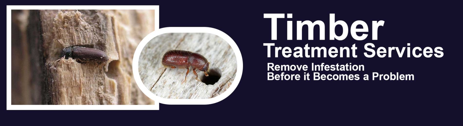 Timber & Wood Infestation Treatment Services Leeds | CPR